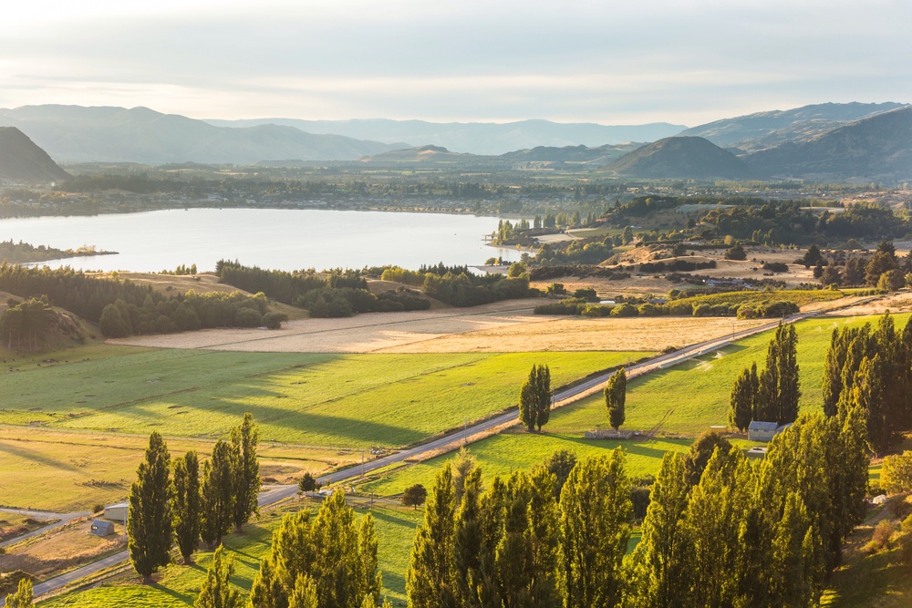 Regional Property Insights with Tony Alexander - October 2022 - First ...